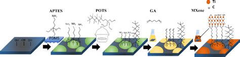 Schematic Of The Stepwise Process To Obtain Micropatterns Of Mxene Via