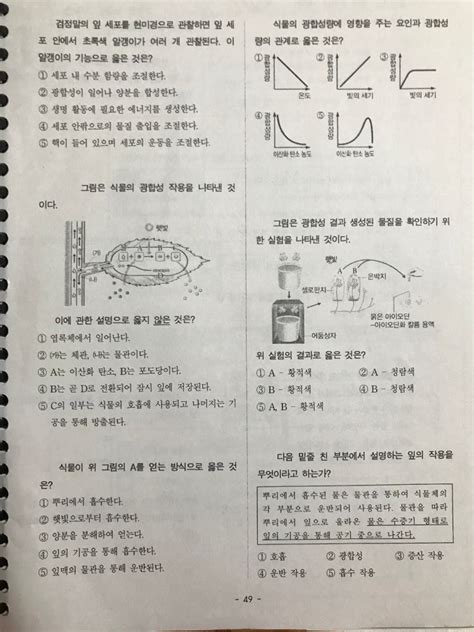 중2 과학 광합성 내공 800 지식in