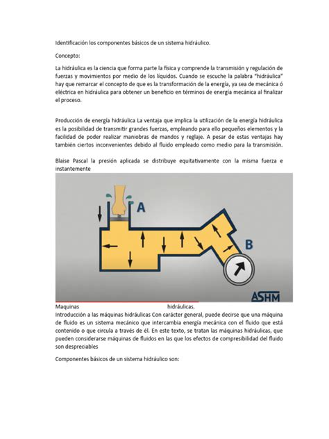 OSHN Unidad 1 | PDF