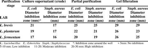 Bacteriocin Activivty Of Lab Strains Against Gram Positive And Gram Download Scientific