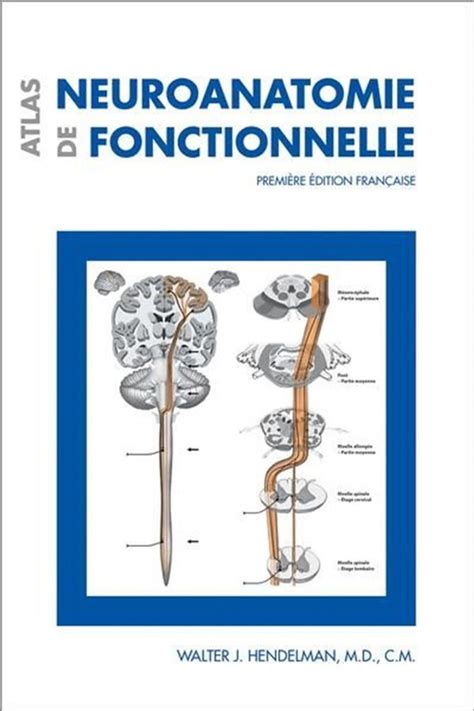 Atlas De Neuroanatomie Fonctionnelle Distribution Prologue