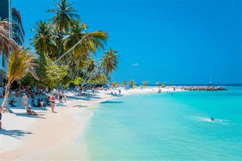 Gallery Alaika Maafushi