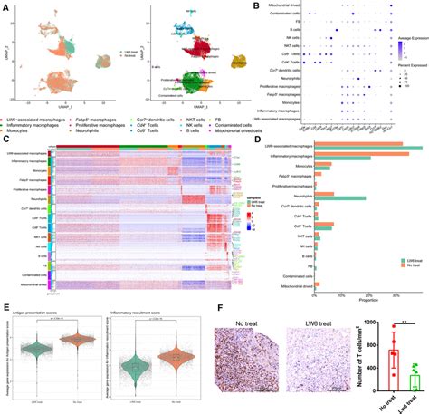 Scrna Seq After Lw6 Treatment A The Umap Plot Of The 31 852 Immune Download Scientific Diagram