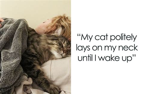 I Have Most Of My Day Done By 8am” 30 People Explain Why They Wake Up