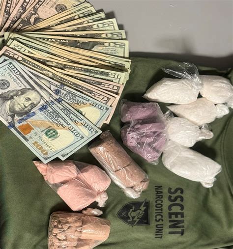 Manistee Drug Bust Ends In 10 Arrests
