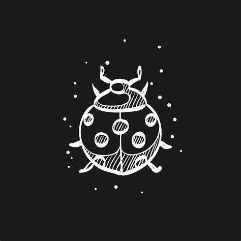 Bug Doodle Sketch Illustration 38059232 Vector Art At Vecteezy