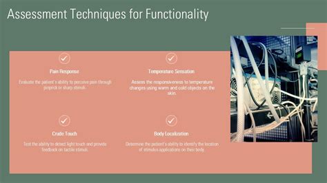 Assessment Techniques For Functionality Spinothalamic Tract Ppt Outline
