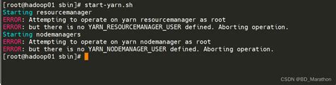 error attempting to operate on hdfs namenode as root csdn博客