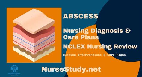 Abscess Nursing Diagnosis And Care Plan Nursestudynet
