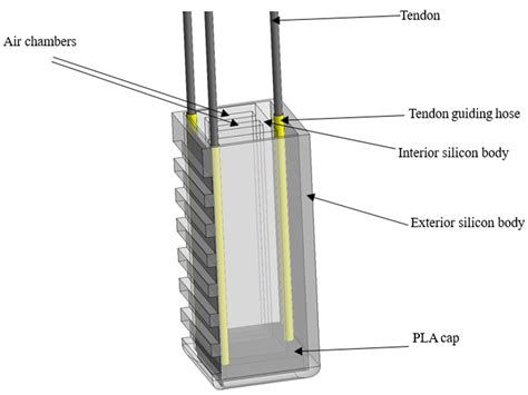 Tendon Driven Variable Stiffness Pneumatic Soft Gripper Robot