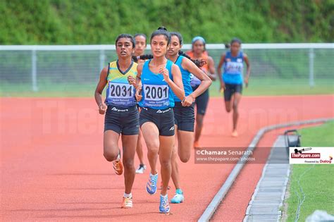 ජාතික මලල ක්‍රීඩා ශූරතාවයට ඉන්දියාවෙන් ප්‍රබල සංචිතයක්