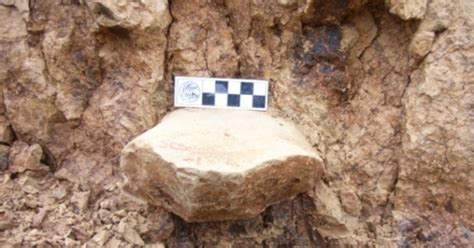 중국서 210만년 된 석기 발굴초기 인류 아프리카 떠난 시기 재고