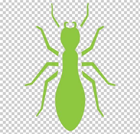 Pest Control For Ants And Cockroaches Pest Control