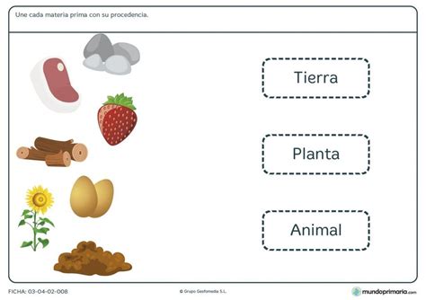 Actividades De Ciencias Naturales Para De Primaria Mundo