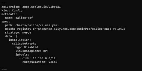 sealos run 可选参数问题 Issue 2824 labring sealos GitHub