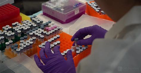 Cell Signaling Technology Cst On Linkedin Cst® Provides Custom