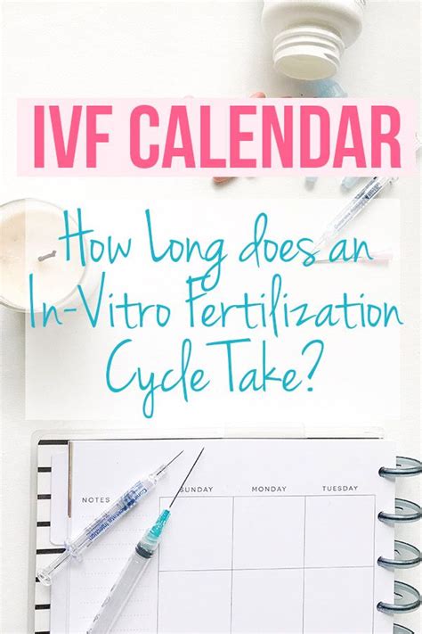 How long does an ivf cycle take ivf start to finish – Artofit