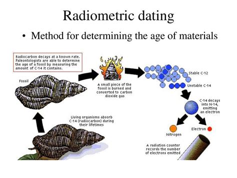 History Of Life Chapter Ppt Download