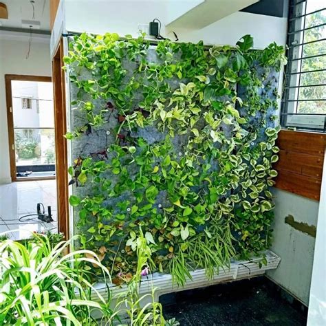 Front Yard Grass Indoor Landscaping Service Chennai Coverage Area
