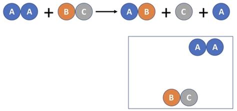 Part Flashcards Quizlet