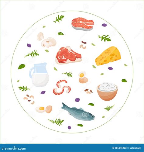 Set Of Healthy Food Macronutrients Proteins Presented By Food Products