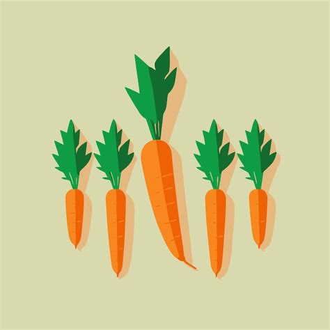 Premium Vector Carrots Vegetable Orange Isolated Vector Illustration
