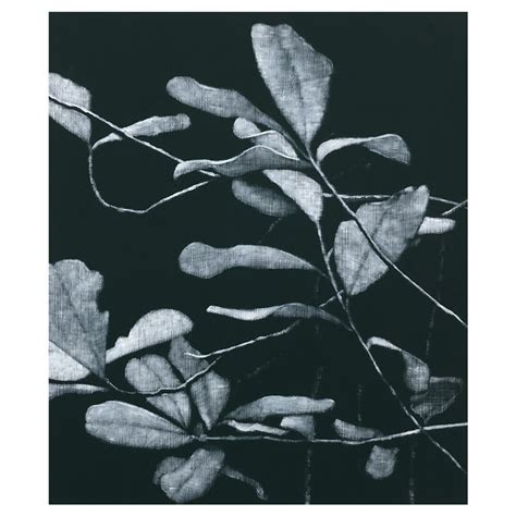 Peter Eastman Even Rocks Melt In The Sun Meer