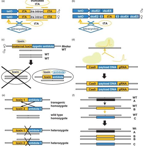Strategies For The Biosynthesis Of Lepidopteran Sex Pheromones Blue