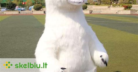 Meškos Kostiumas 2metru Skelbiult