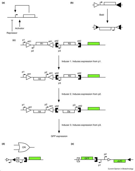 Analogue Circuit Of Nor Gate
