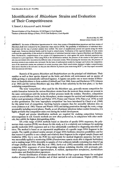 Pdf Identification Of Rhizobium Strains And Evaluation Of Their