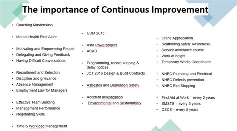 Vision Big Picture Continuous Improvement