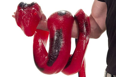 Gummy Python Weighs Nearly 27 Pounds And Packs 36000 Calories Huffpost
