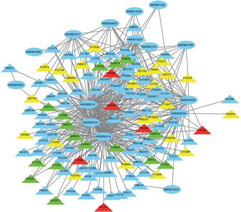 Network Biomarkers Constructed From Gene Expression And Protein Protein Interaction Data For