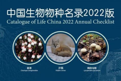 保护生物多样性，习近平总书记这样关心荔枝网新闻
