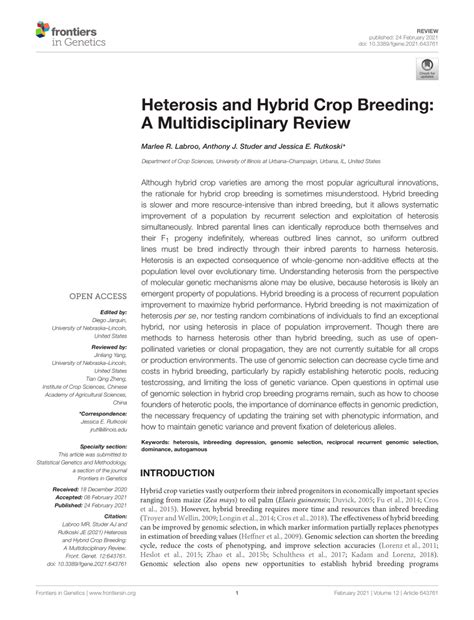 Pdf Heterosis And Hybrid Crop Breeding A Multidisciplinary Review