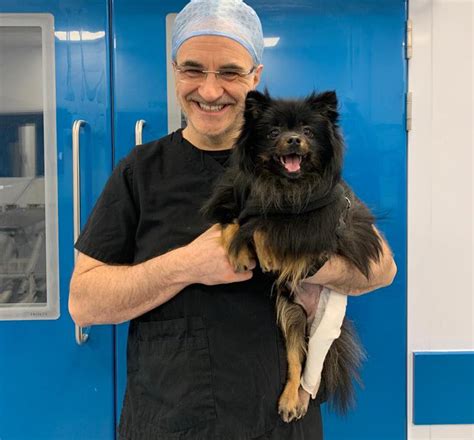 Noel Fitzpatrick On Twitter Natsu Had His Knee Fused With A Custom