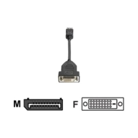 Hp Fh973aa Μετατροπέας Displayport Male σε Dvi D Female Officeworks
