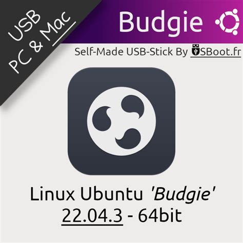 Cl Usb Pr Par E Bootable De Linux Ubuntu Budgie