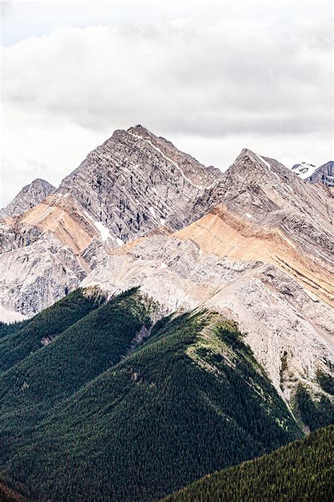 Visiter Le Parc National De Jasper Les Incontournables Wild Birds