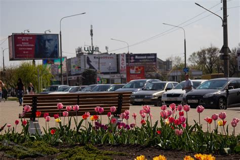 Невинномысск, Россия — все о городе с фото