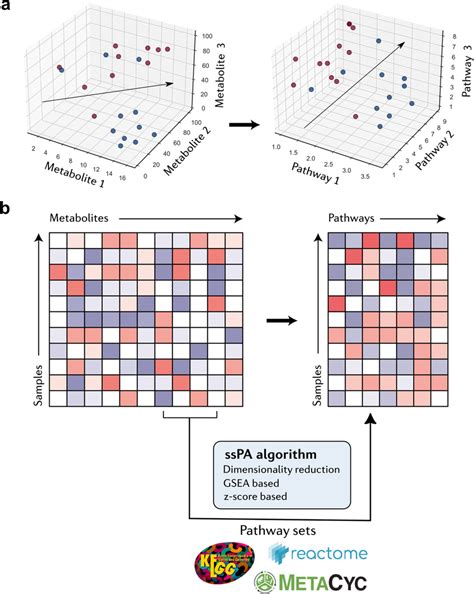 Schematic Representation Of Single Sample Pathway Analysis A