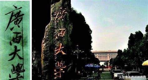 原来这十所大学校名都是毛主席亲自题写，这些 毛体”你认出几种 每日头条
