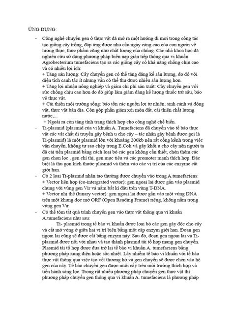 NG D NG | PDF