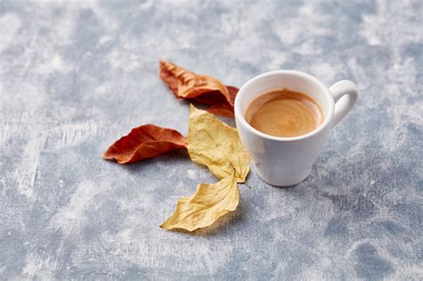 커피와 단풍 한 잔 밝은 나무 배경입니다 공간을 복사합니다 0명에 대한 스톡 사진 및 기타 이미지 0명 가을 마실 것
