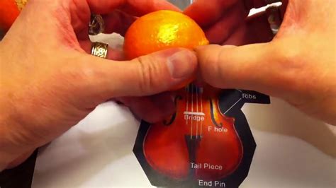 Why Is There A F Hole In A Violin Stringed Instrument What Is The Origin Of That Form Gigazine