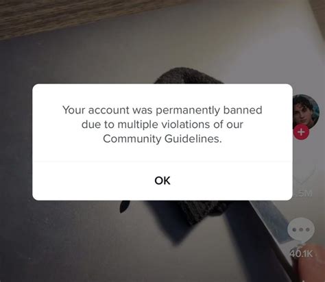 Should Tiktok Be Banned In The United States Wlfa