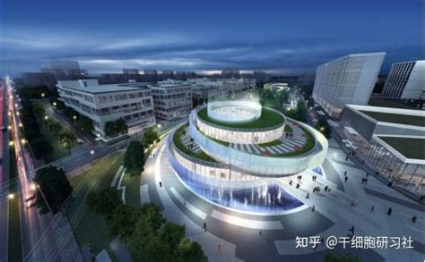郑大干细胞库丨一起为生命创造奇迹 知乎