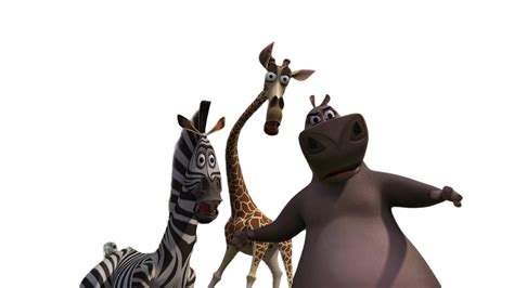 Marty Melman And Gloria Png By Kylewithem On Deviantart