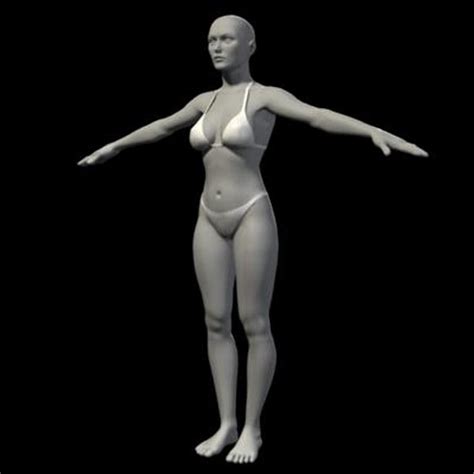 Basic Female Mesh D Model